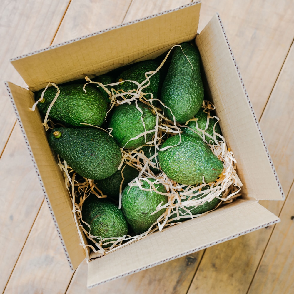 The Avo Tree | Fresh, Handpicked Avocados Delivered | Shop Now.