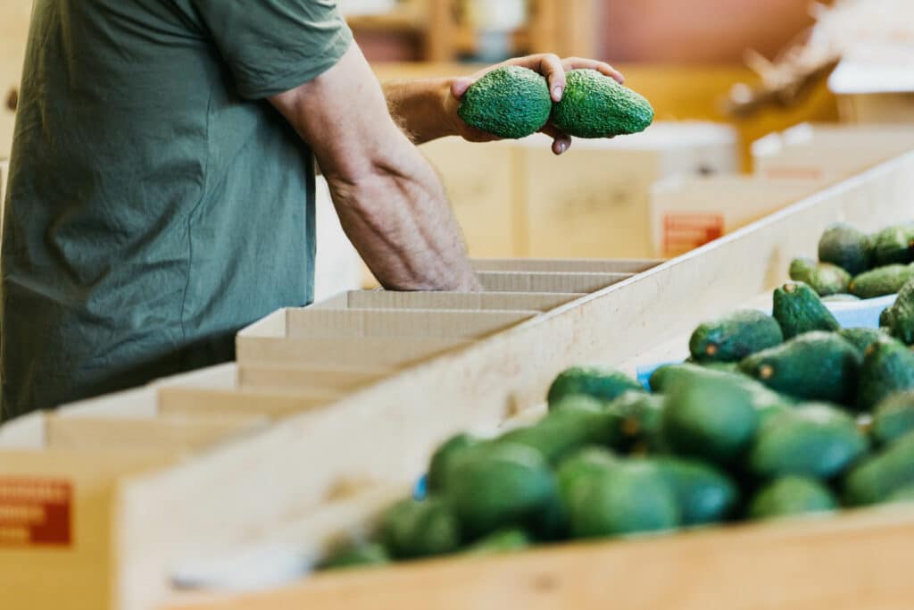 The Avo Tree | Fresh, Handpicked Avocados Delivered | Shop Now.