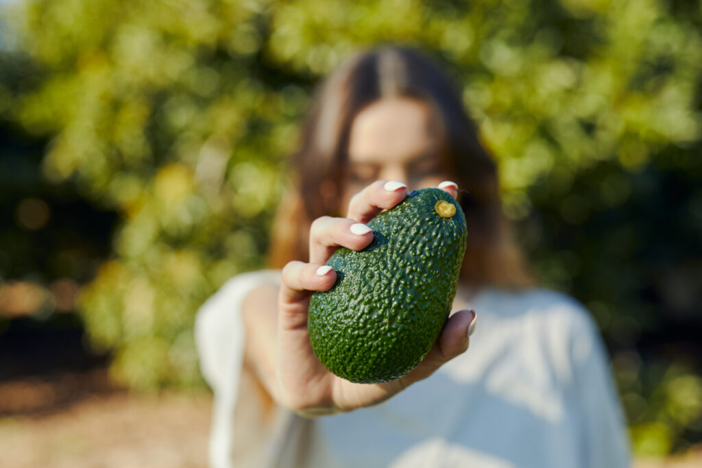 The Avo Tree | Fresh, Handpicked Avocados Delivered | Shop Now.