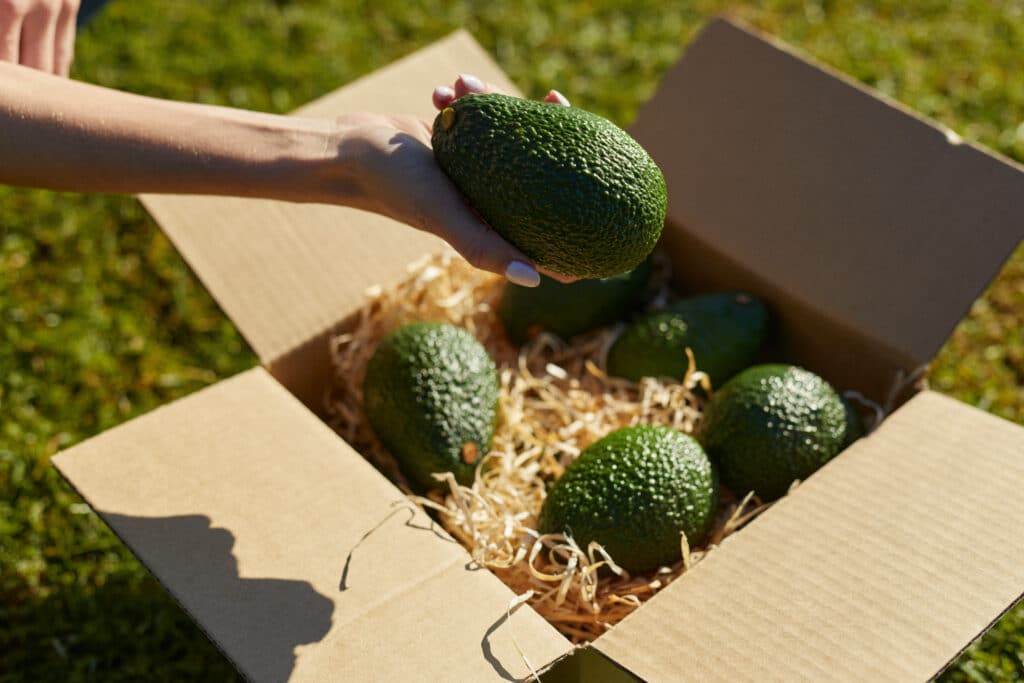 The Avo Tree | Fresh, Handpicked Avocados Delivered | Shop Now.