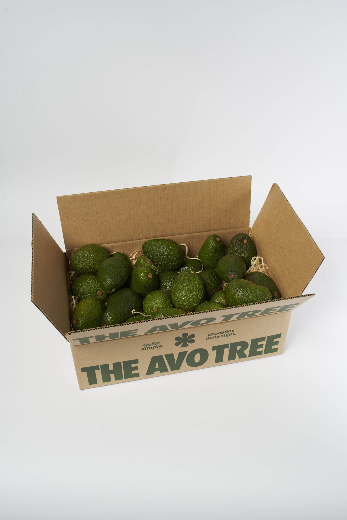 Hass – The Avo Tree
