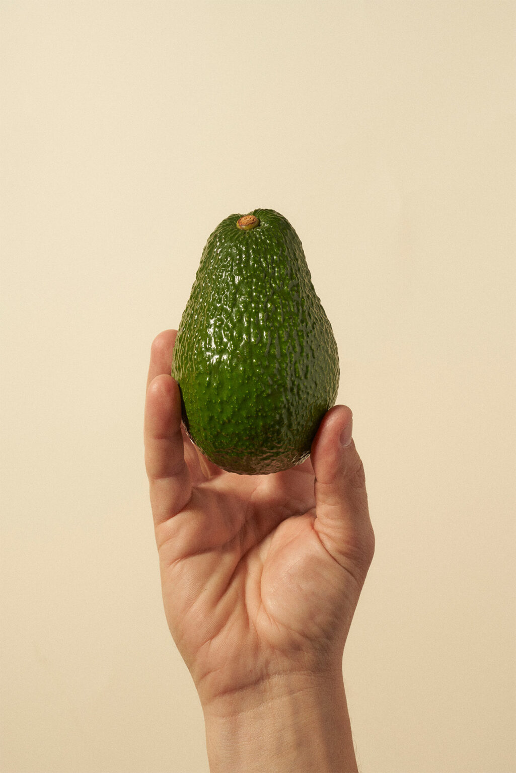 The Avo Tree | Orchard-Fresh Avocados Delivered | Shop Now
