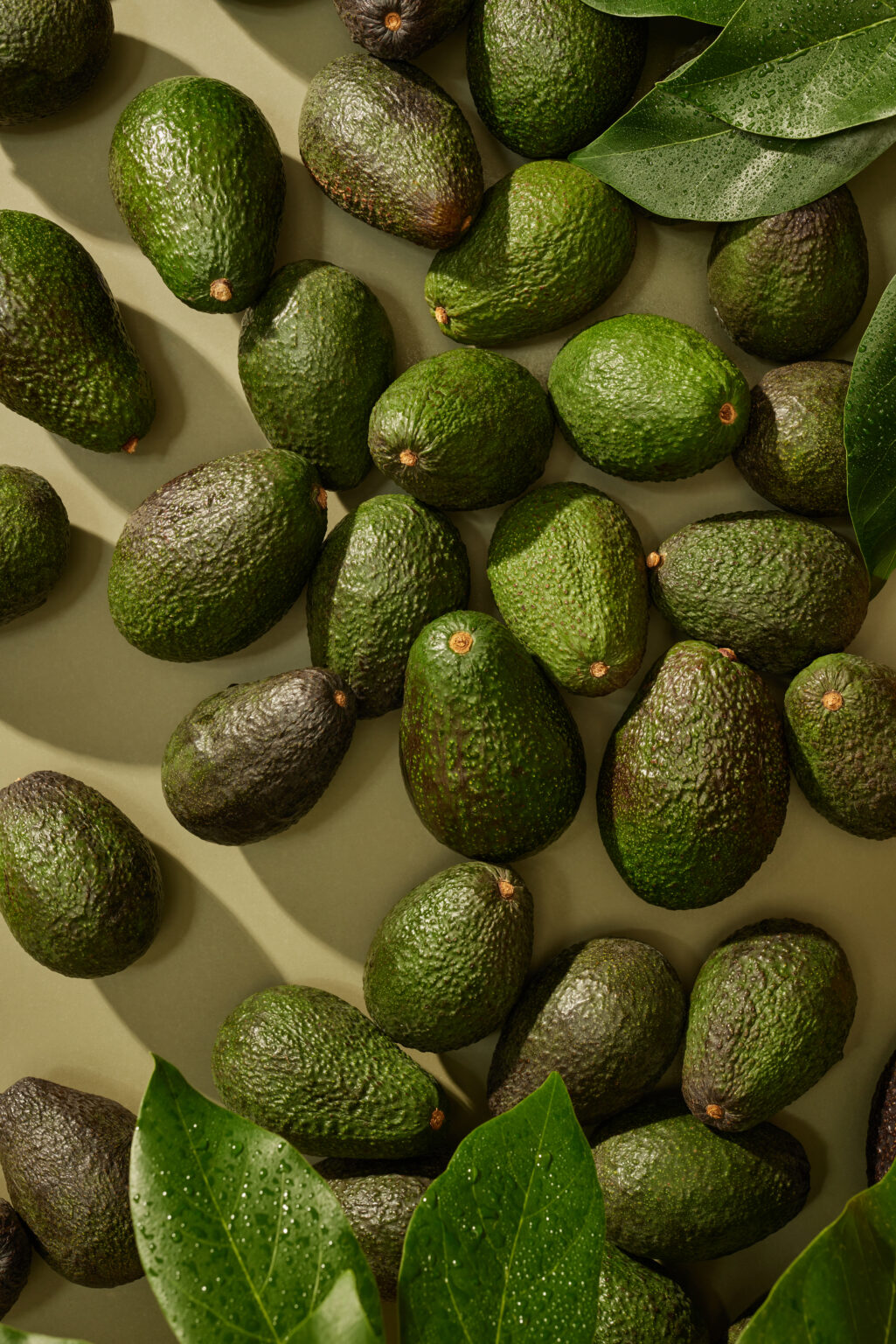 Why We Never Coolstore Our Avocados | The Avo Tree