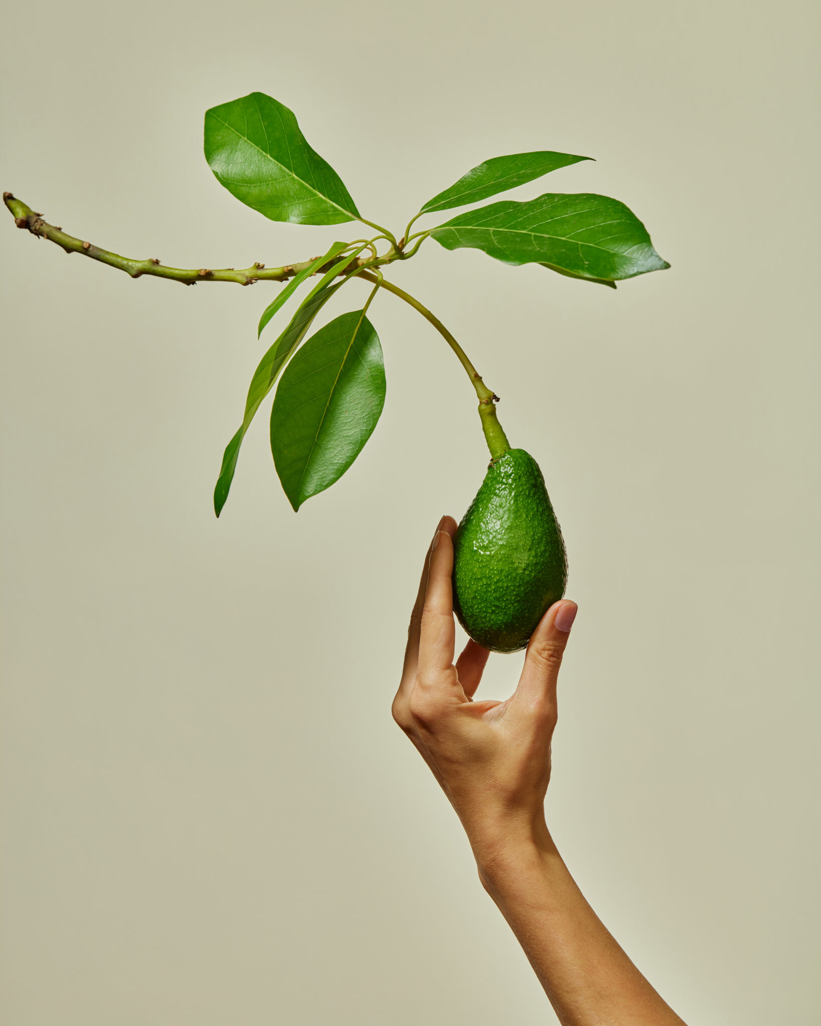 6 Sexy Foods To Get You In The Mood (According To Science!) | The Avo Tree